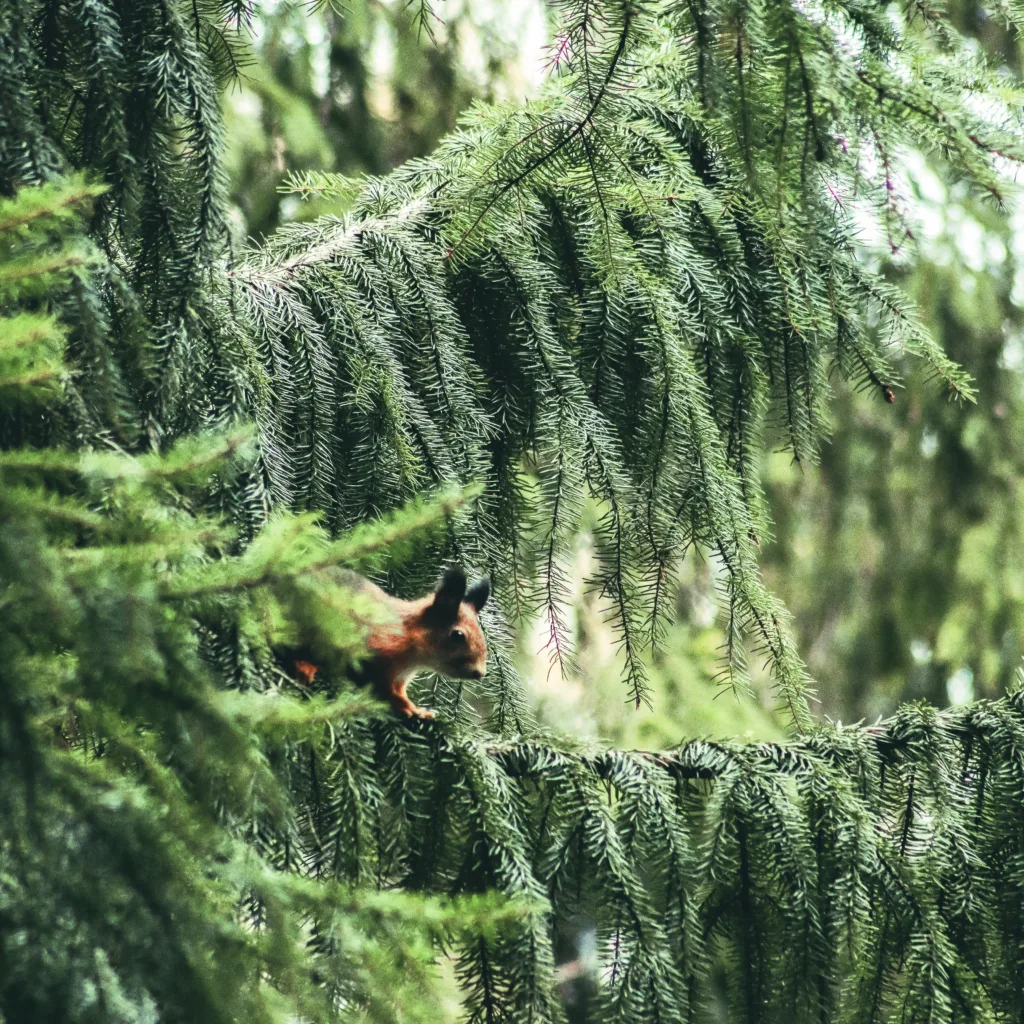Kellel tähemärkidest tuleb 15.10 hea päev ja kellel halb päev? Uuri ...