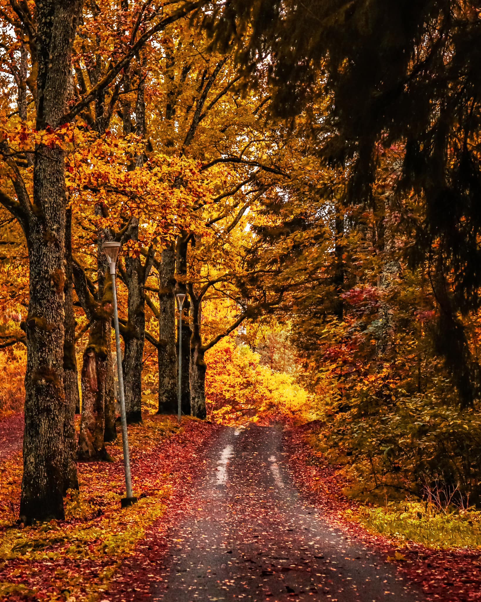 Mida toob oktoobri teine pool igale tähemärgile | MinuAeg